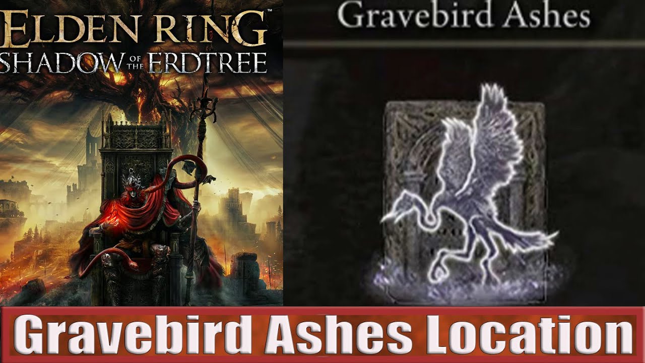 Gravebird Ashes Location Elden Ring Shadow of the Erdtree - YouTube
