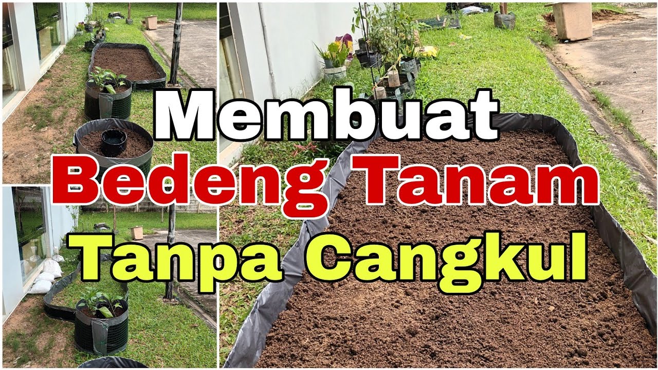 Membuat Bedeng Tanam Tanpa Cangkul - YouTube