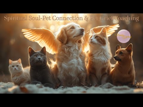 Spiritual Soul-Pet Connection & Pet Grief Coaching Program Now ...