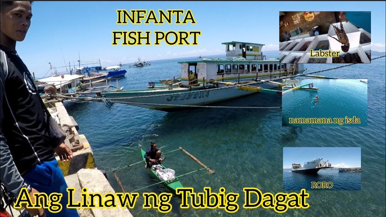Dito pala Masarap mag Swimming sa Infanta Fish Port, Napaka Linis at ...