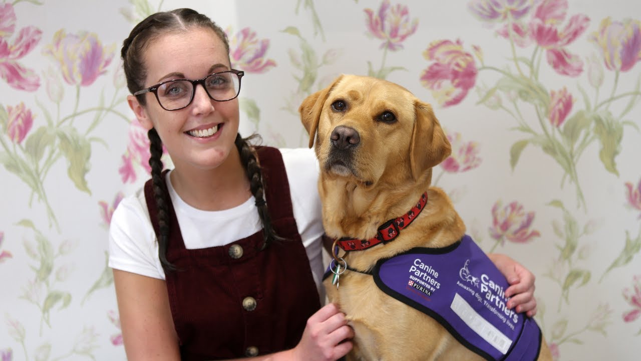 Canine Partners Assistance Dog - YouTube