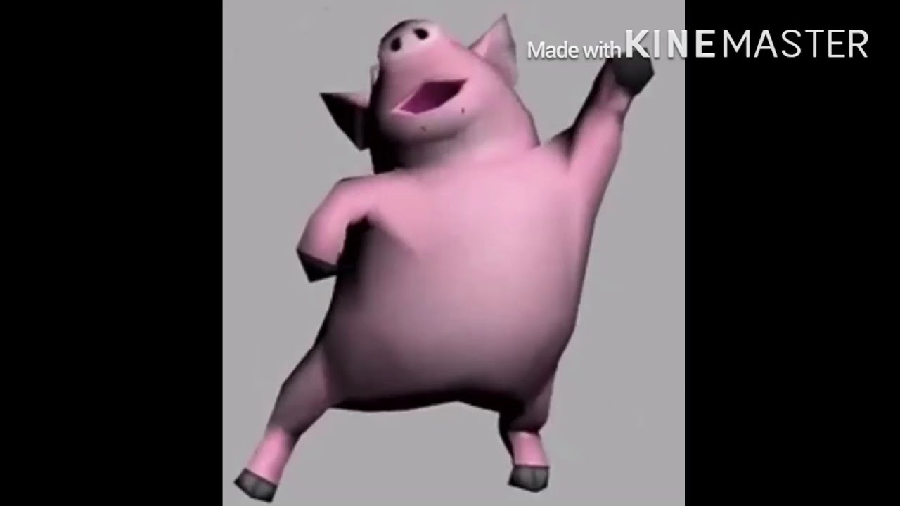 IM THE BEST PIGGY OINK OINK OINK OINK - YouTube