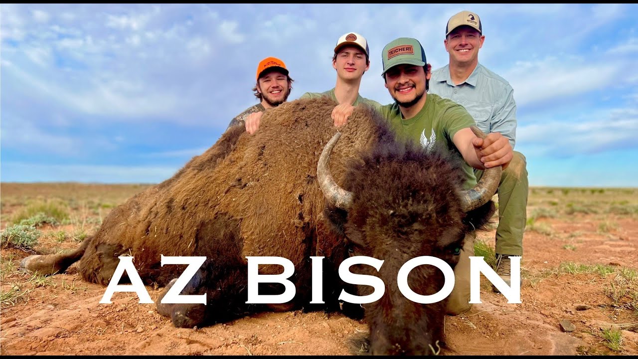 AZ Bison Hunt - YouTube