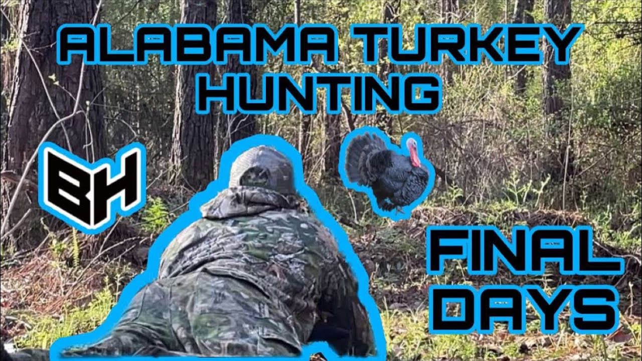 Alabama Turkey Hunting Final Days ( Turkeys Are Fired Up ) - With ...