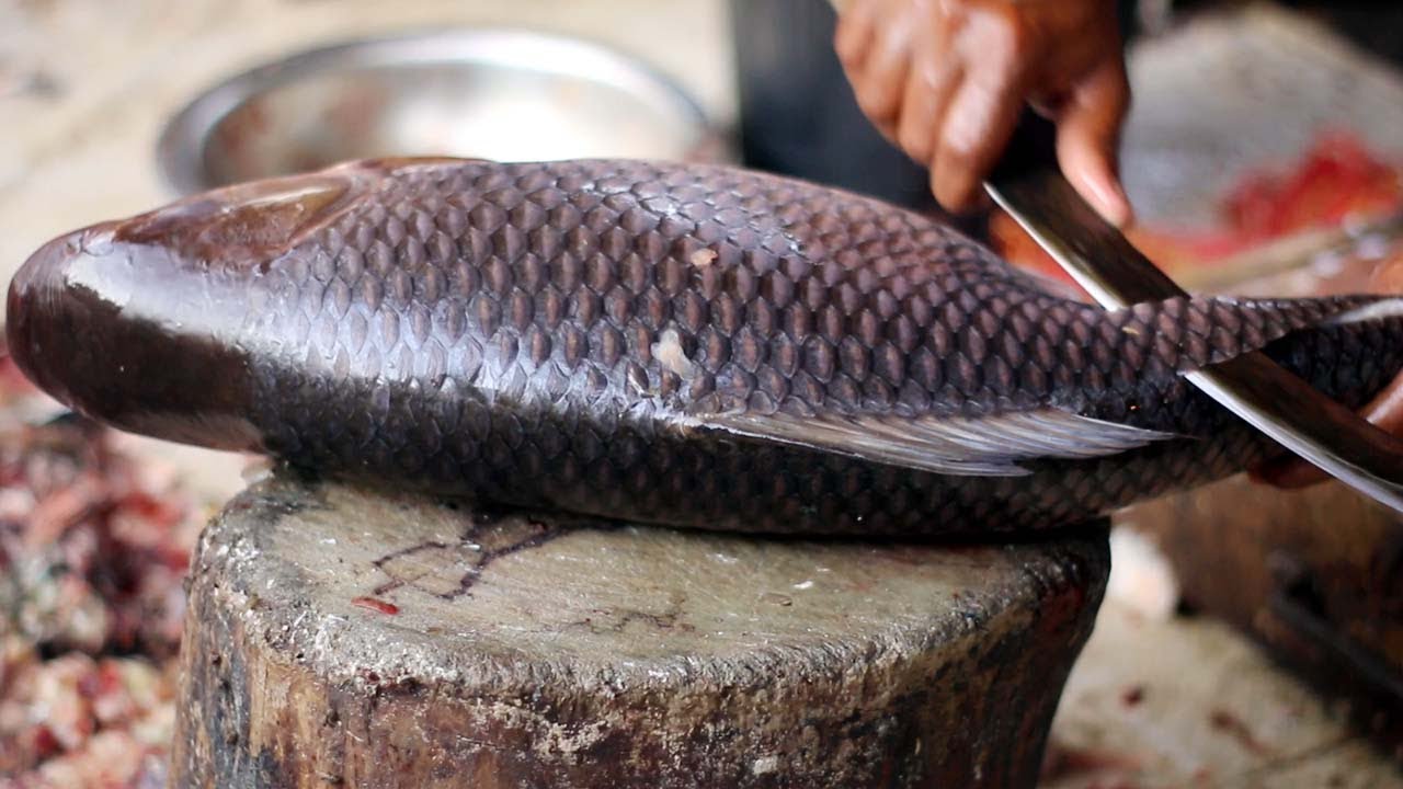 BIG Rui Fish Cutting & Slicing Expert Butcher Cutting Fish At Bd Fish ...