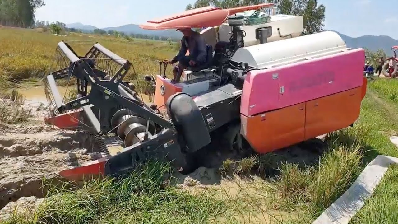 Recovery Harvesting Rice, Harvesting Rice Stuck In Mud - YouTube