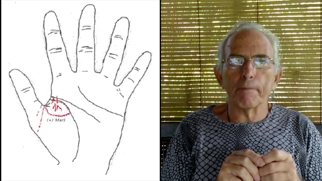 Palmistry Talks 26 - Lines 3 Middle, Mount of Mars - YouTube