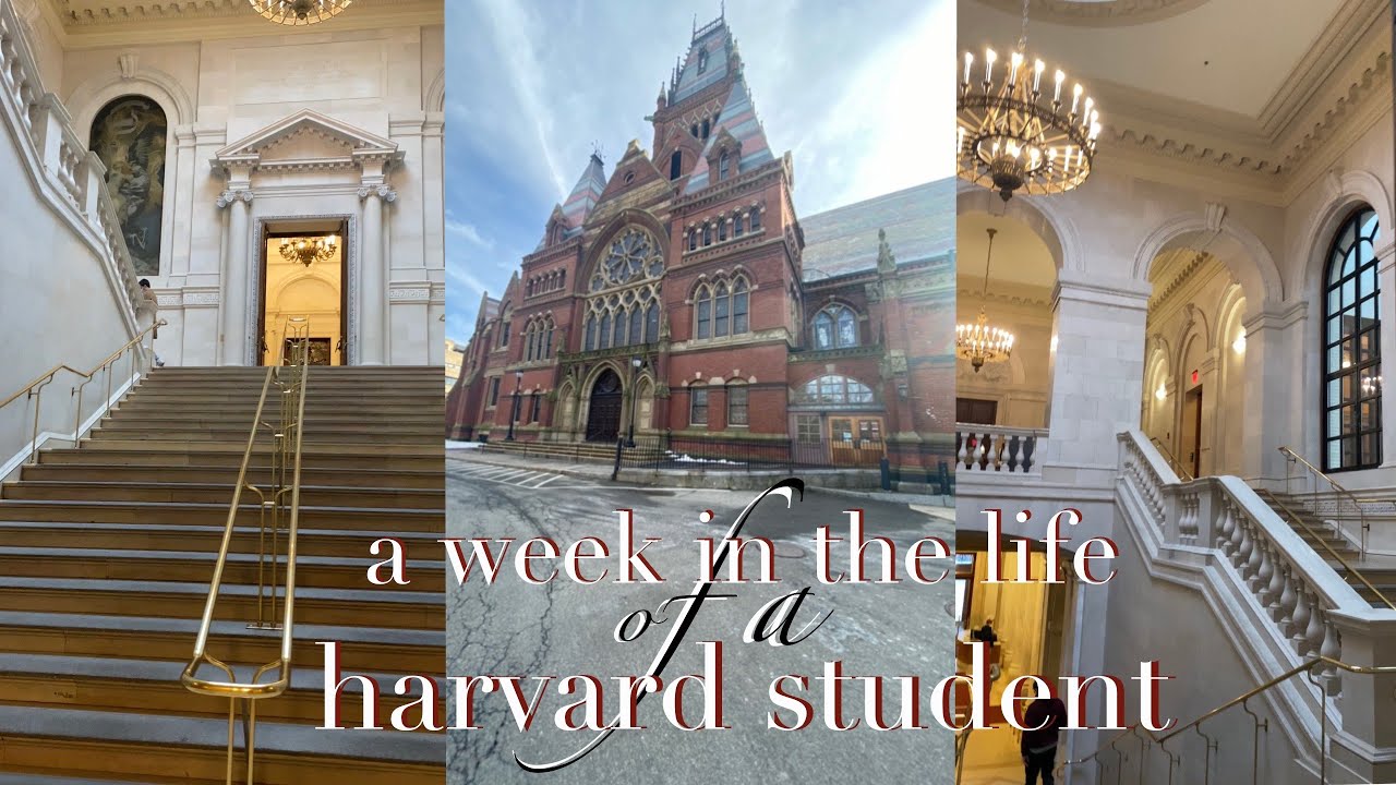 A Week in the Life of a Harvard Student (exploring campus, visiting ...
