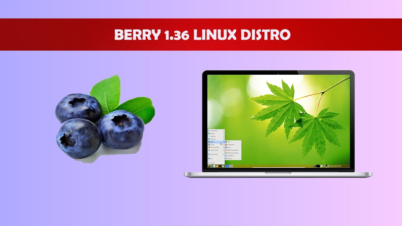 Berry 1.36 | Linux Distro Preview - YouTube