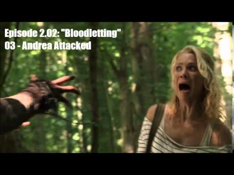The Walking Dead - Season 2 OST - 2.02 - 03: Andrea Attacked - YouTube