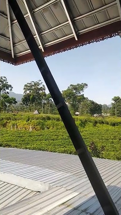 Java Resto Kemuning - YouTube