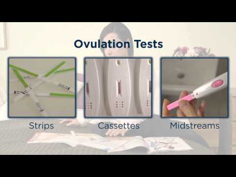 Calendar vs BBT vs Ovulation Test - Which is Best for You?