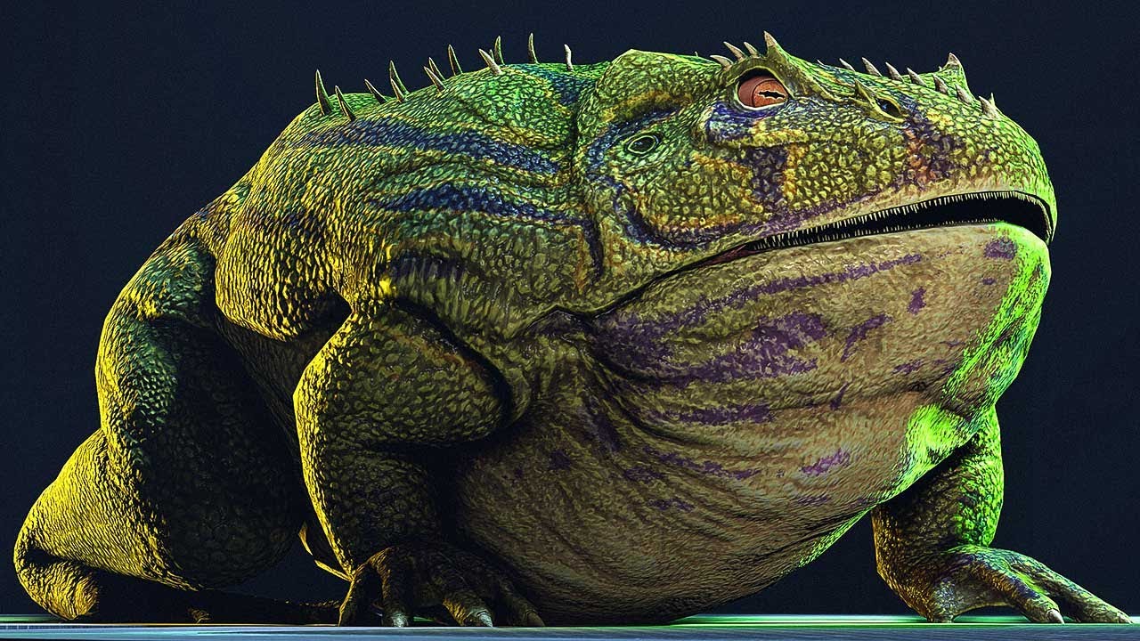 The World's RAREST Frog Has Been FOUND... WOW! - YouTube