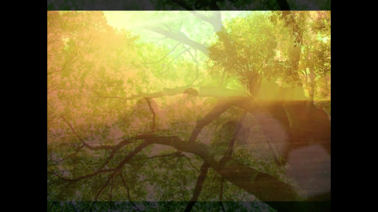 Alo Amar Alo Ogo Tagore Song - YouTube