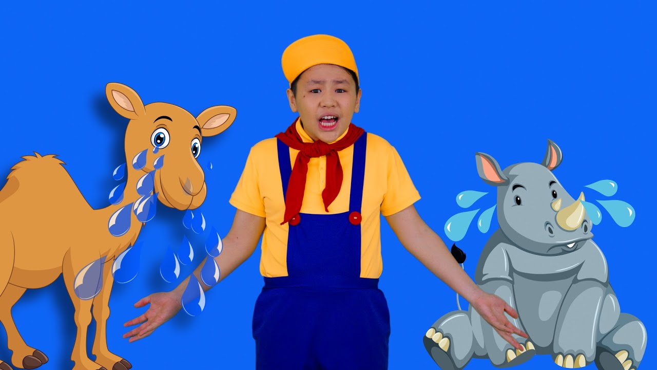 The Boo Boo Animals CRY & MORE | Kids Funny Songs - YouTube