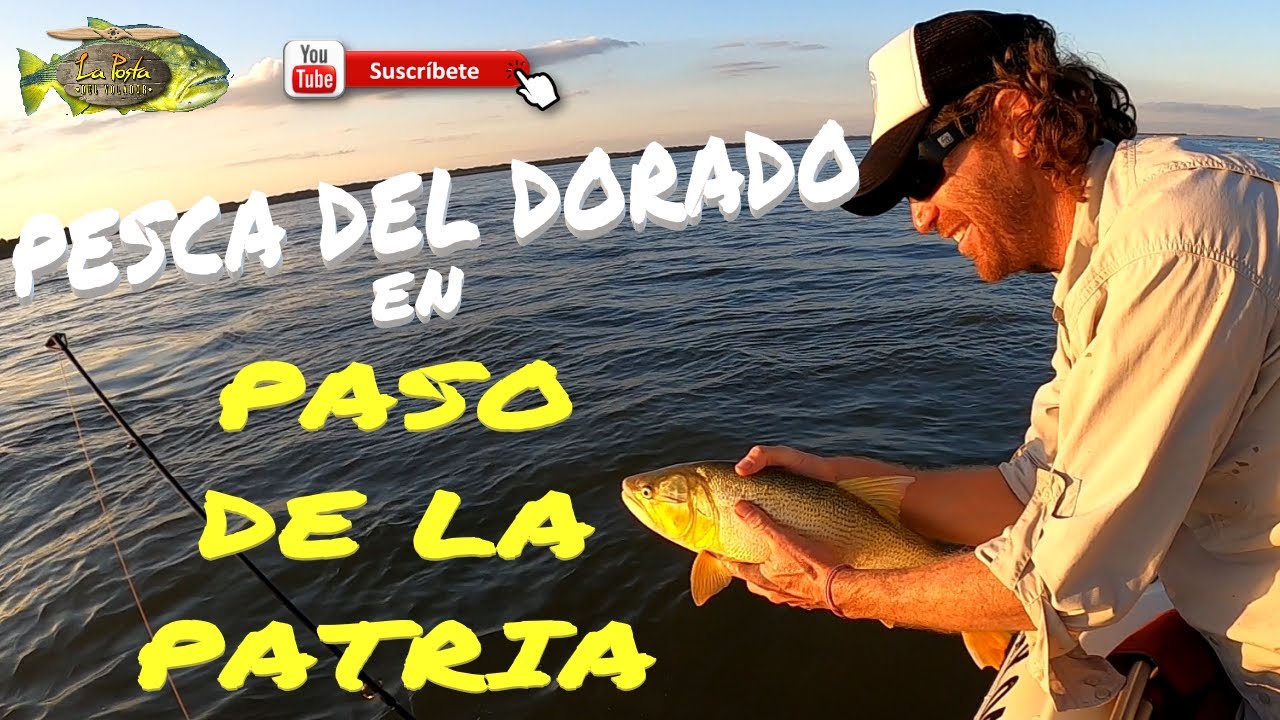 Emocionante pesca del dorado en el río Parana frente a Paso de La ...