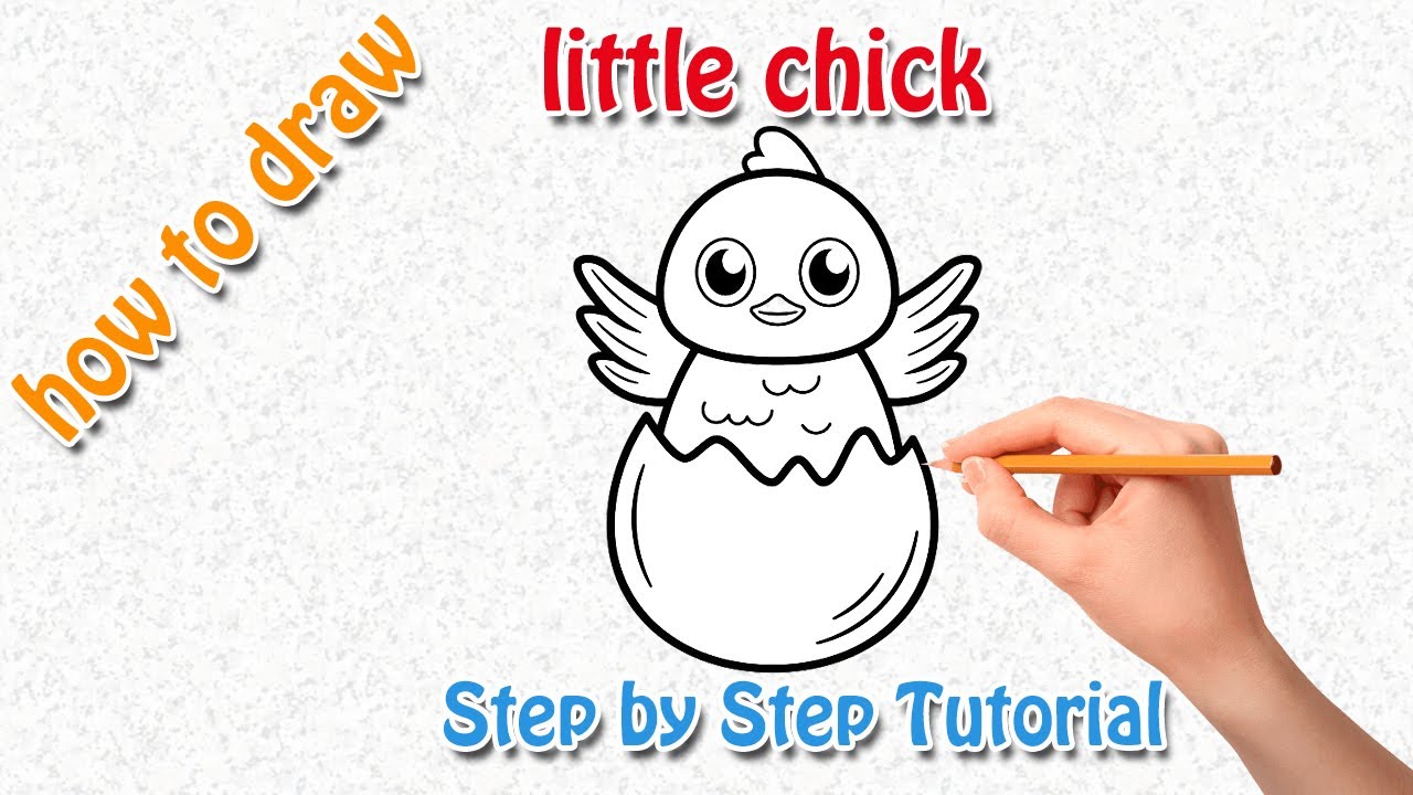 كيفية رسم كتكوت بطريقة سهلة مع الخطوات رسومات للمبتدئين رسومات كيوت