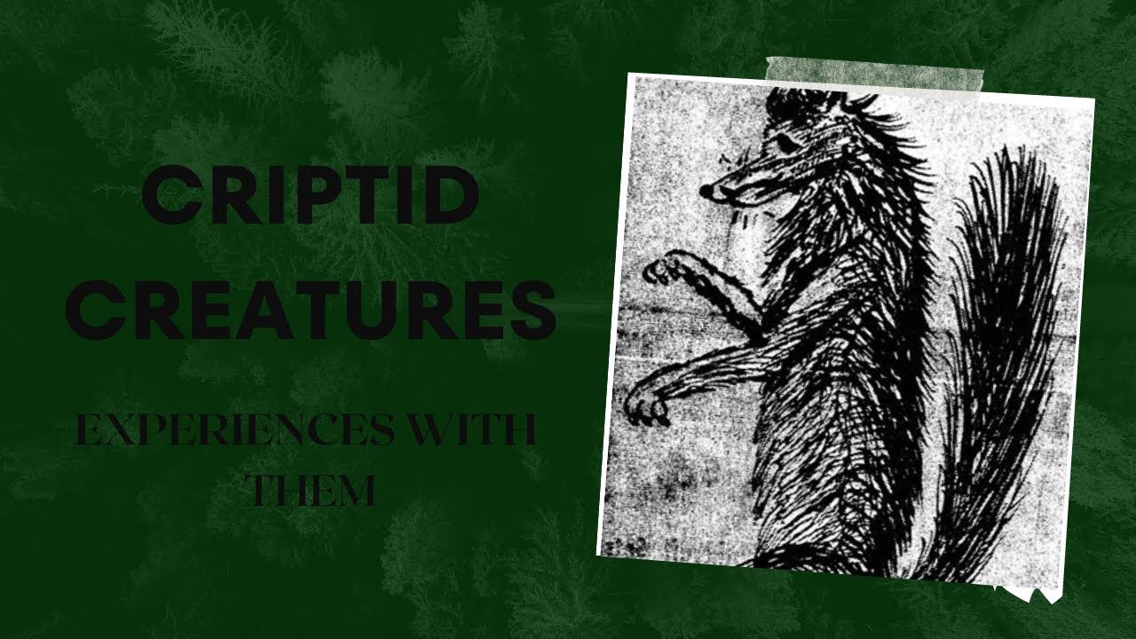 CRIPTID CREATURES!! JOIN US, OPEN PANEL!!! - YouTube