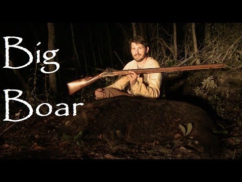 Hog Hunting with a Flintlock Muzzleloader - YouTube