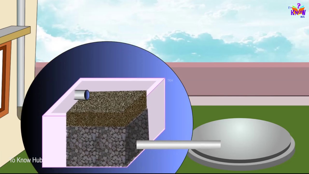 RWH Animation - YouTube