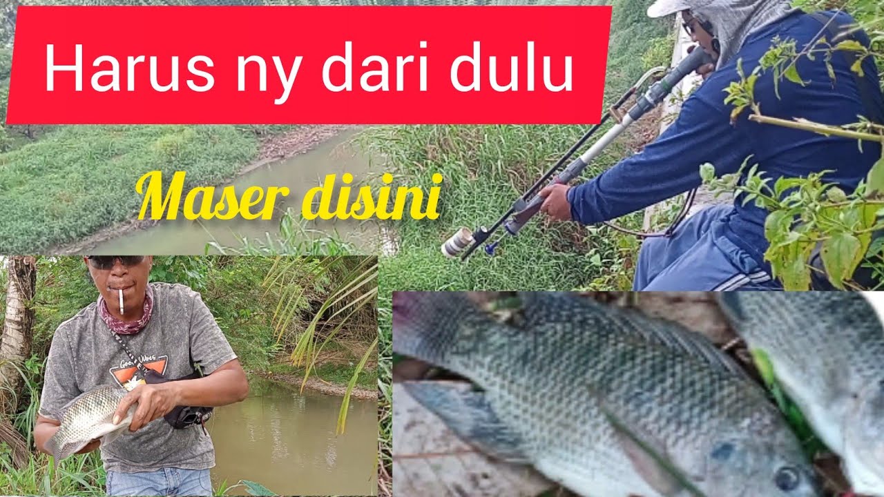 Paser ikan nila/duet Paser paralon vs Paser uklik standar - YouTube