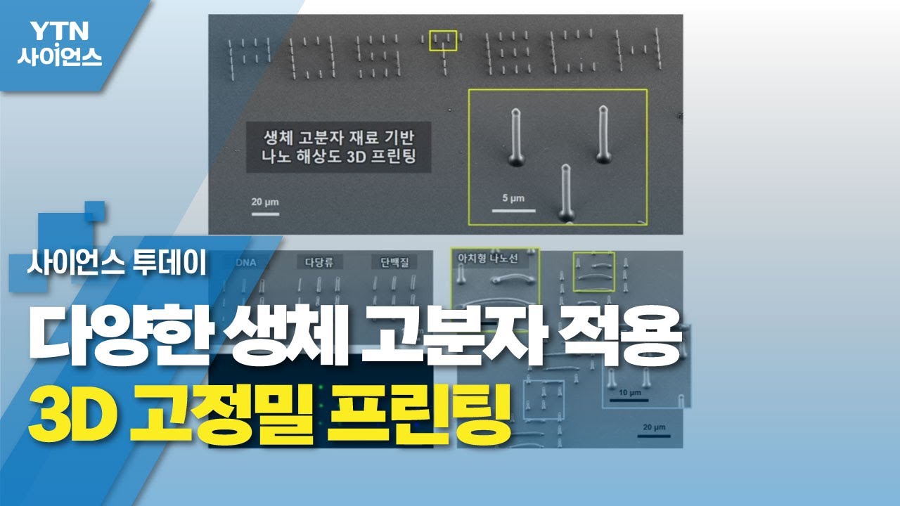 다양한 생체 고분자 적용…3D 고정밀 프린팅 / YTN 사이언스 - YouTube