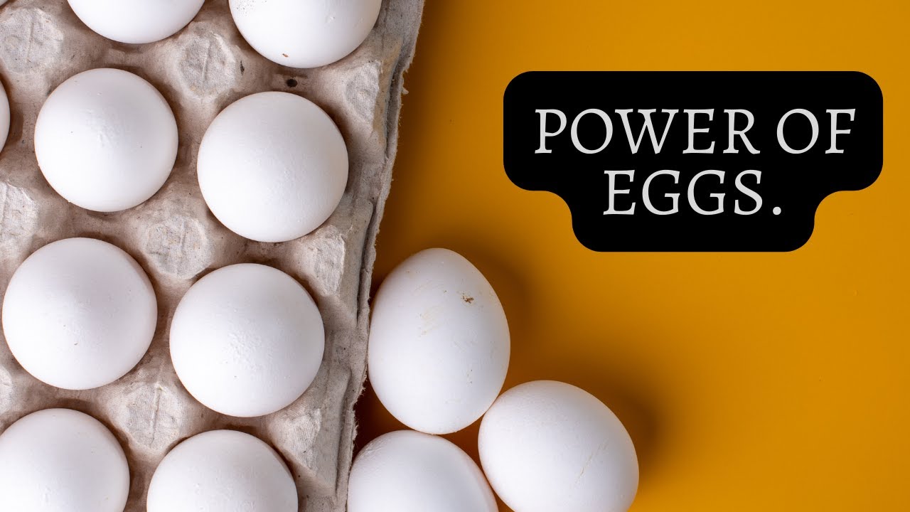 Power of Eggs - YouTube