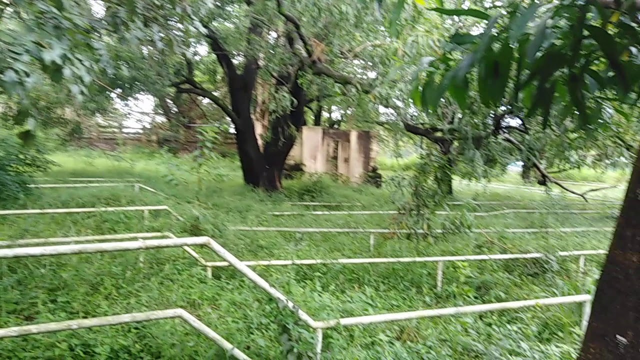 MAHIYANGANA PUDA BIME BUDDAGAYAWATA WELA THIYENA DE.ME DE PIRISIDU ...