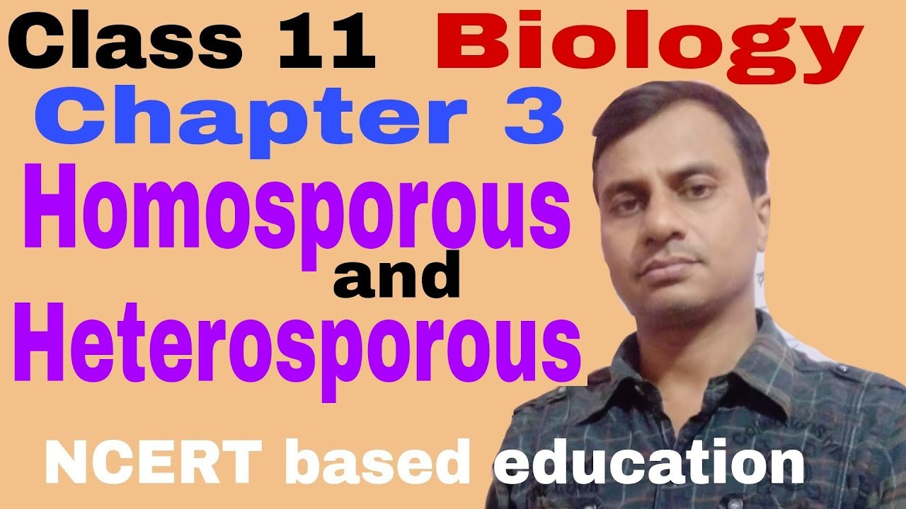 Homosporous and Heterosporous. - YouTube