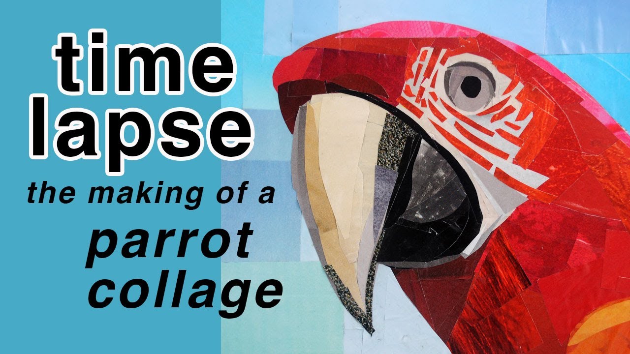 Making a Parrot Collage from Magazine Cutouts - YouTube