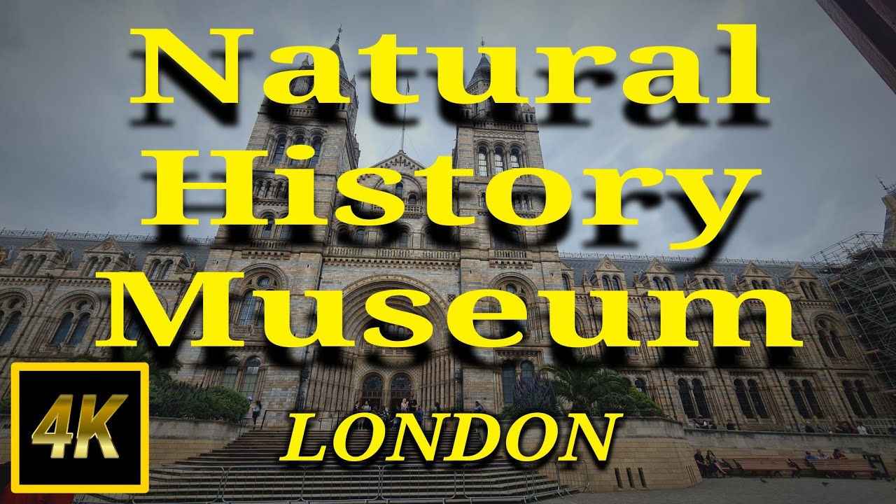 [4k] 🇬🇧 Natural History Museum London 2024- Inside the most impressive ...
