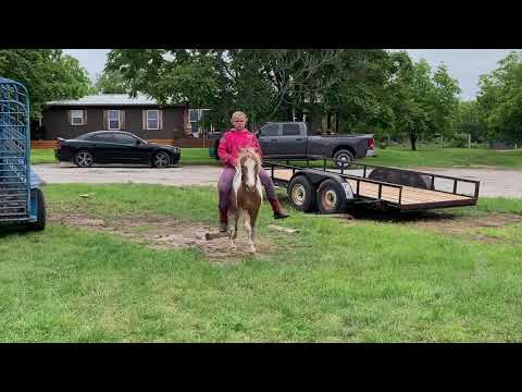 Quick ride on “Webster” - YouTube