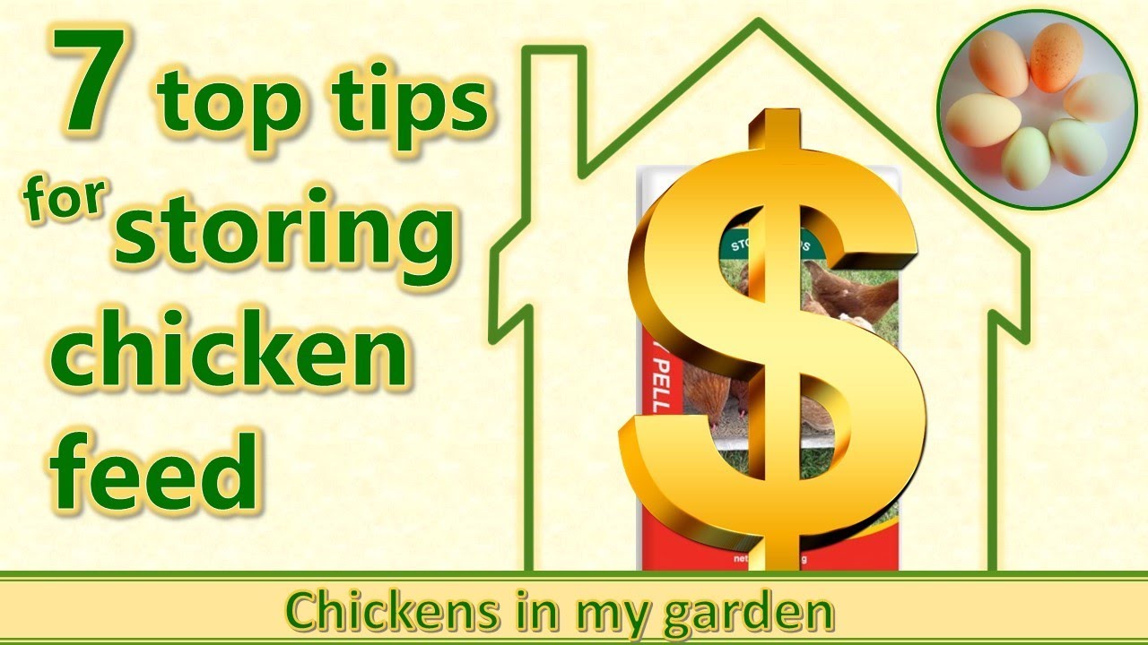 7 top tips for storing chicken feed - YouTube