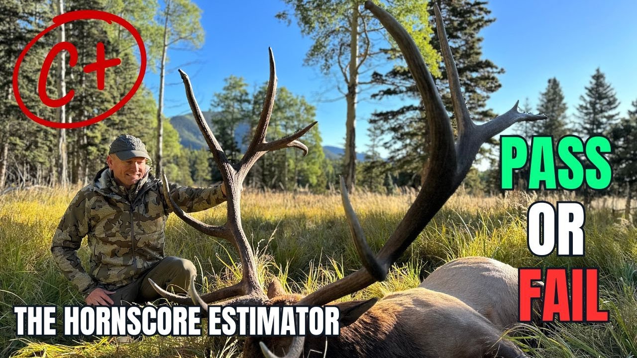 Pass or Fail | Estimator Tool on a Bull Elk - YouTube