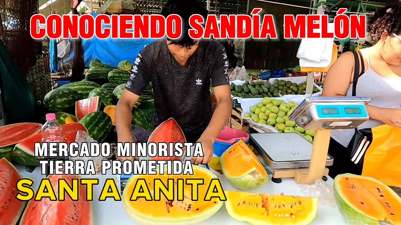 CONOCIENDO sandía AMARILLO (Sandia MELÓN)💛🍉🫒🌈 - TIERRA prometida| Lima ...