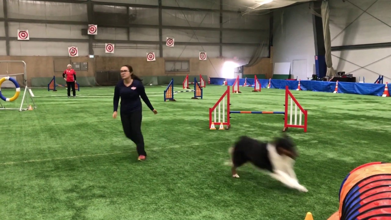 Fetch Trial April 2019 - YouTube