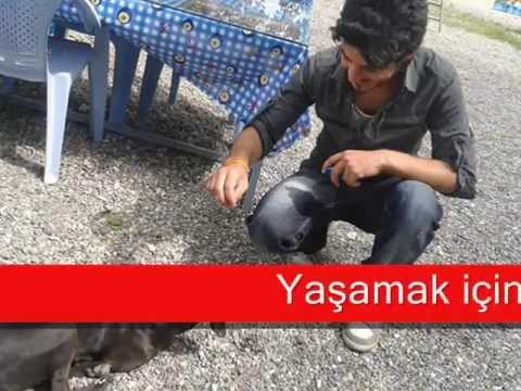 Sevmiş gibi yaptın,canımı en çok sen yaktın   süperr