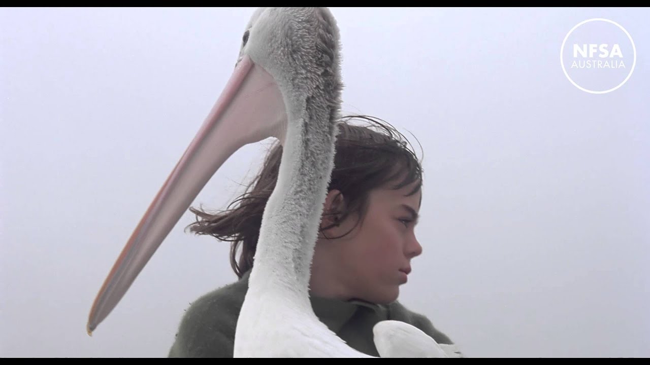 Storm Boy (1976) - On the boat with the pelicans - YouTube