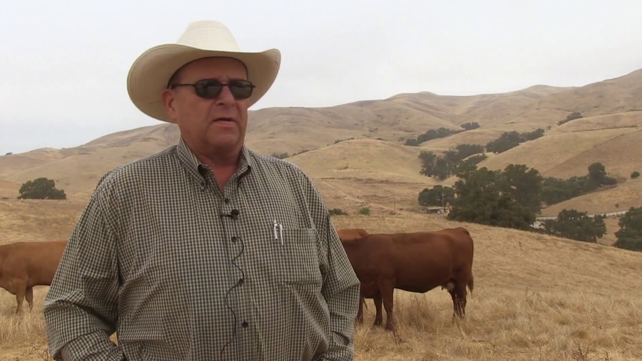California Rancher Tim Koopmann Discusses Twice Paying Death Tax - YouTube