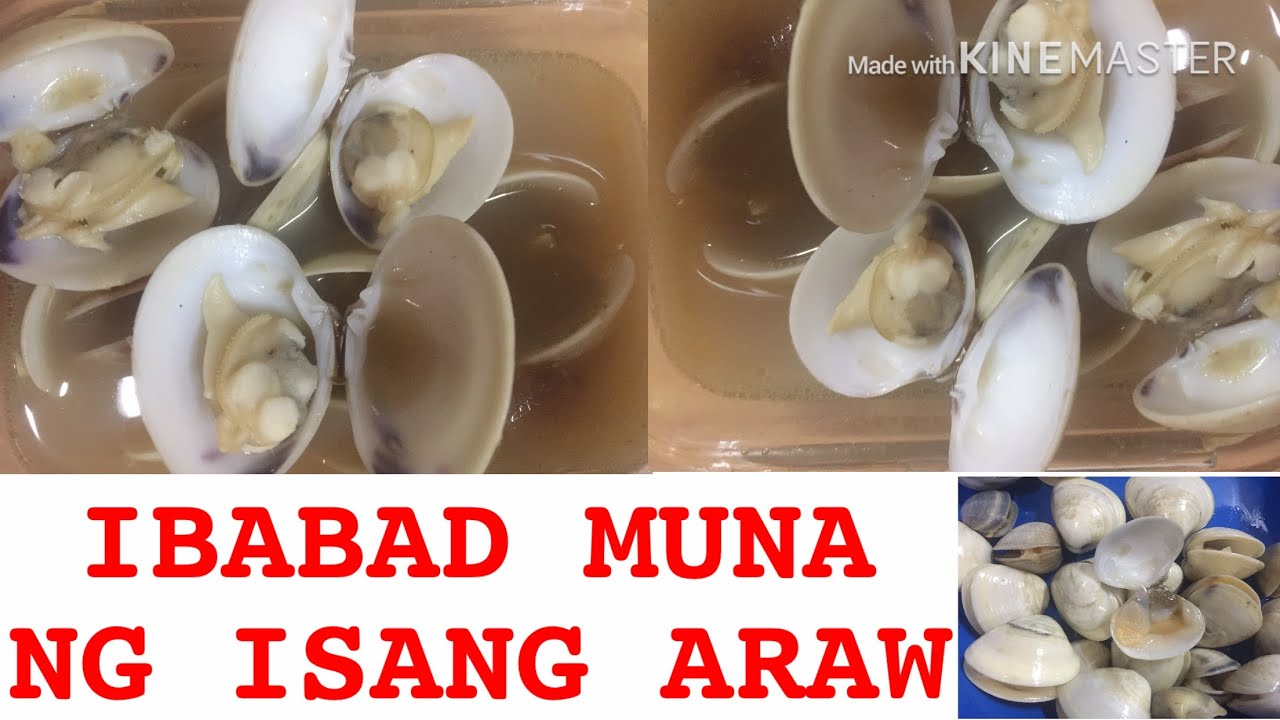 How to cook HALAAN - YouTube