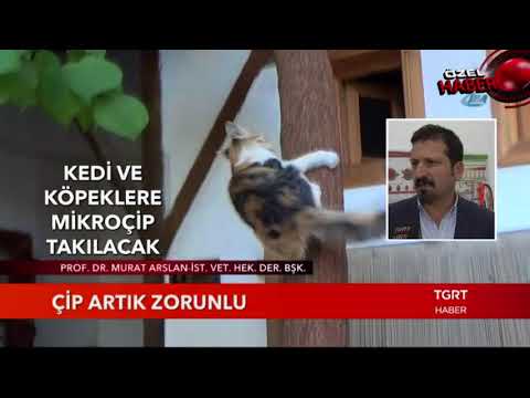 Hayvanlarda Mikroçip Dönemi