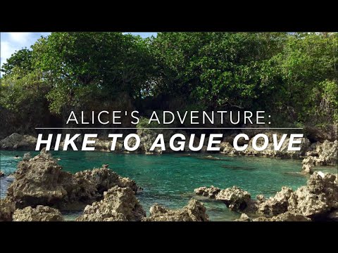 Hike to Ague Cove - YouTube