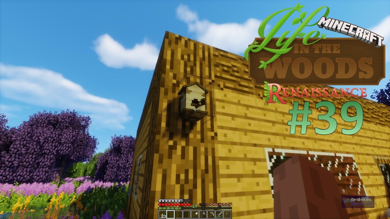 LIFE IN THE WOODS #39 - Ein wenig Deco ☼ Let's Play LitW [HD] - YouTube