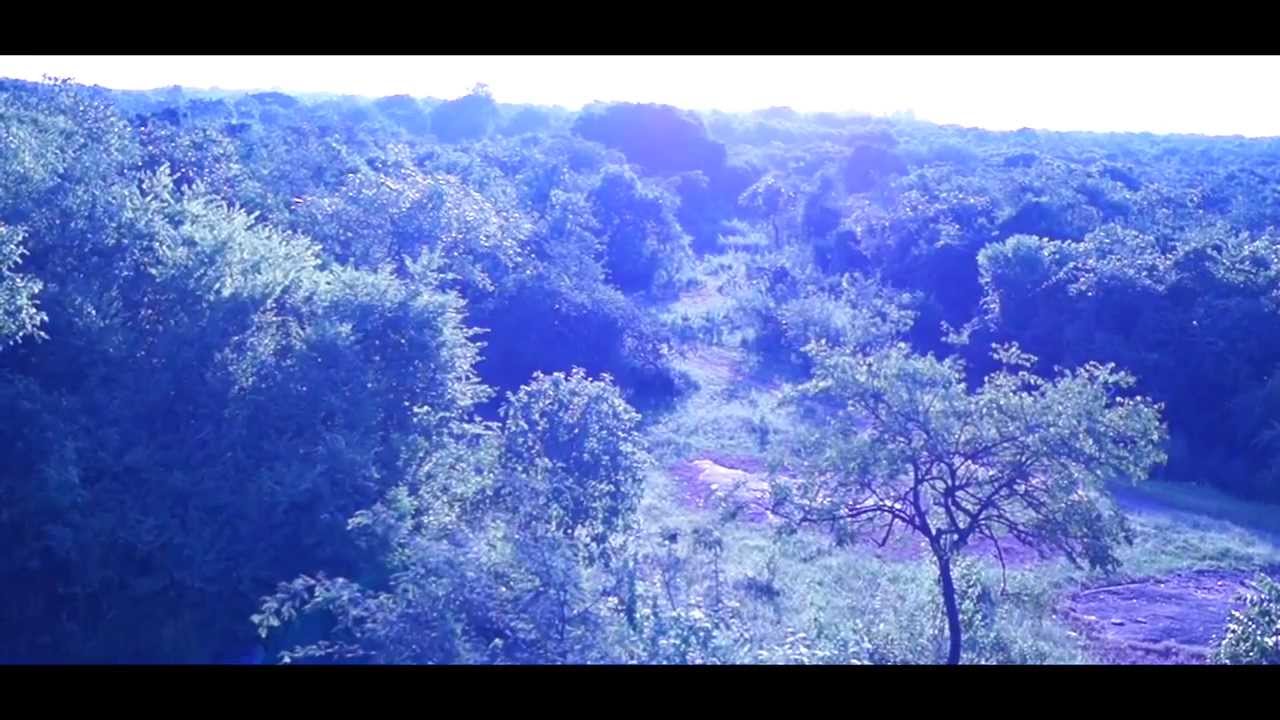 The Unknown- part II (trailer) - YouTube