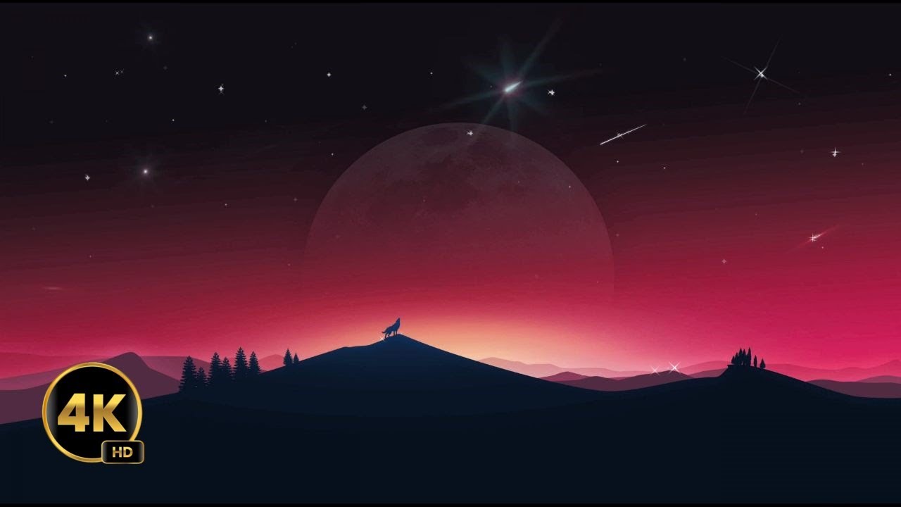 Nightfall In The Forest Live Wallpaper For Desktop - YouTube
