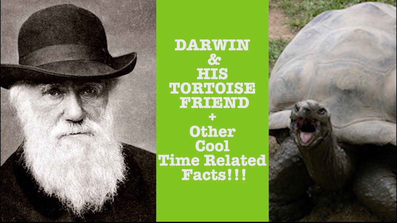 Charles Darwin & his Tortoise FRIEND (and two other STORIES) - YouTube