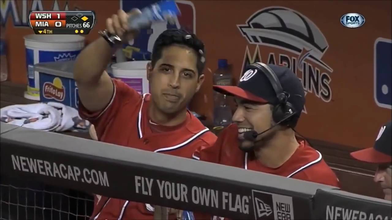 Sunflower Seed Showers MLB HD - YouTube