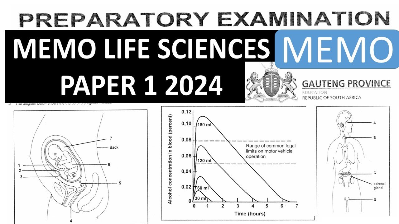 2024 MEMO LIFE SCIENCES P.1 GRADE 12 PRELIME EXAM GAUTENG PROVINCE ...