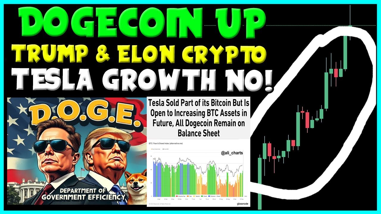 Trump And Elon Musk Dogecoin 310% Increase, Tesla Doge Holding, Bitcoin ...