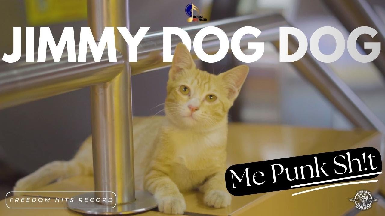 Jimmy DogDog - Me Punk Sh!t (Official Music Video) - YouTube